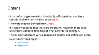 Primary organs | PPTX