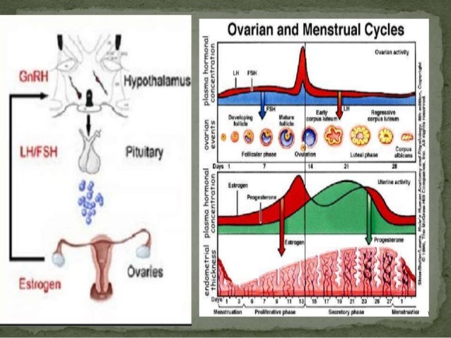 Primary ovarian insufficiency