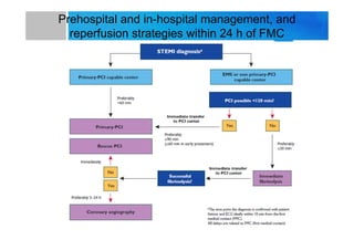 Primary PCI | PDF