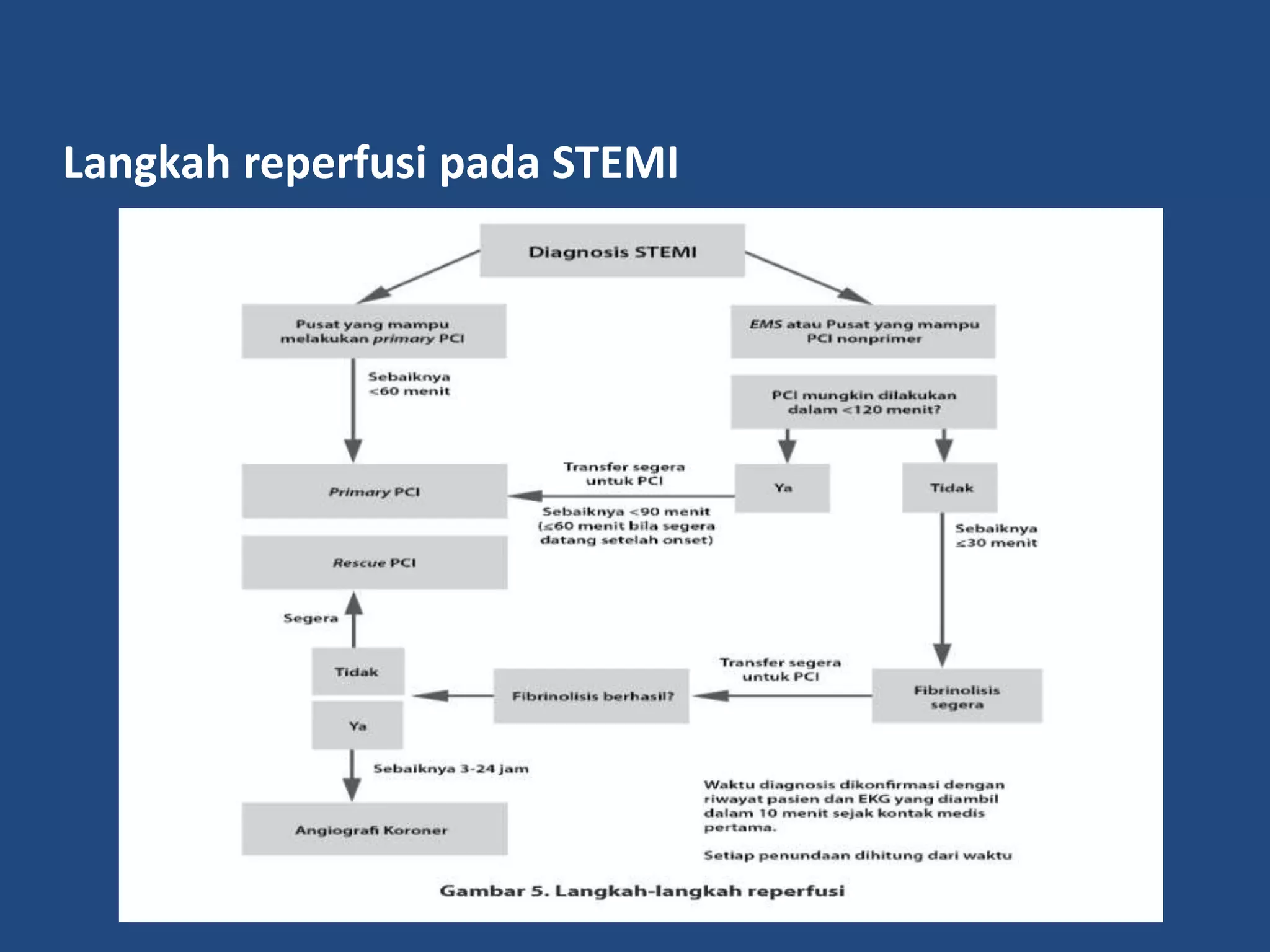 PRIMARY_PCI_PADA_STEMI.ppt