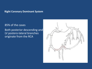PRIMARY_PCI_PADA_STEMI.ppt