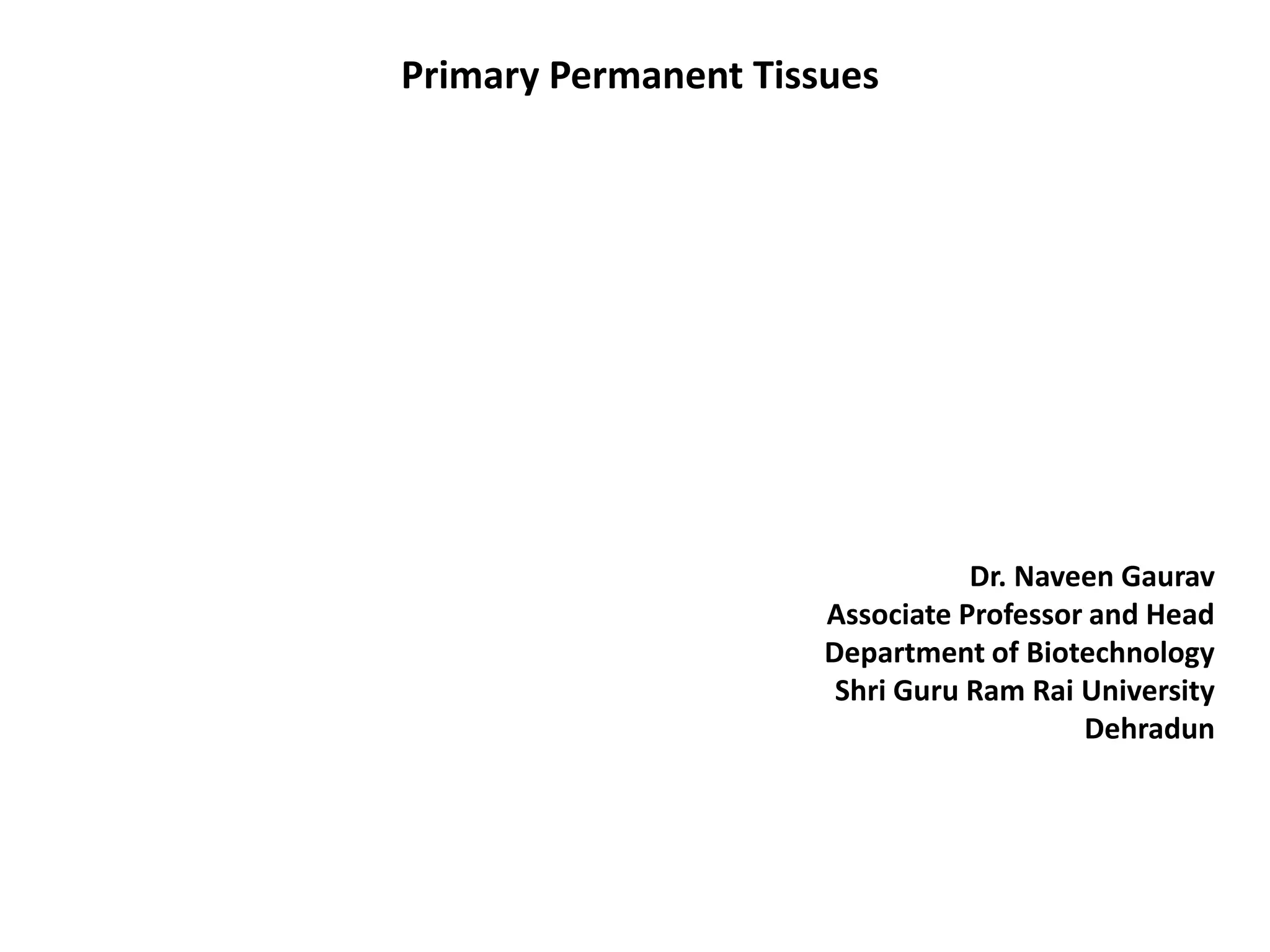 Primary permanent tissues | PPTX