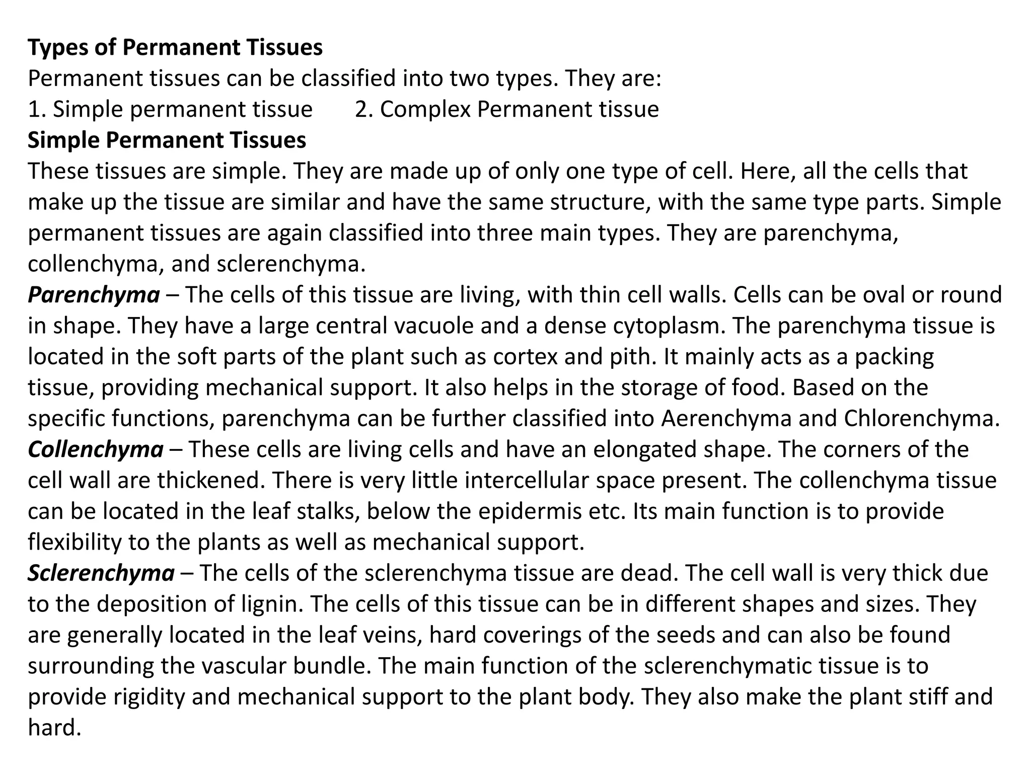 Primary permanent tissues | PPTX