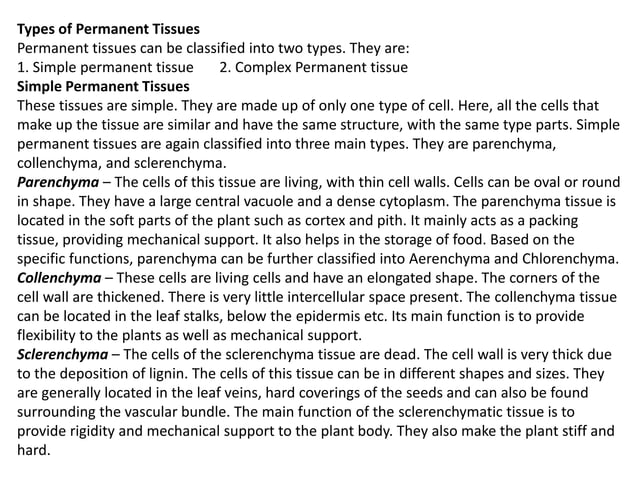 Primary permanent tissues | PPTX | Gardening | Home & Garden