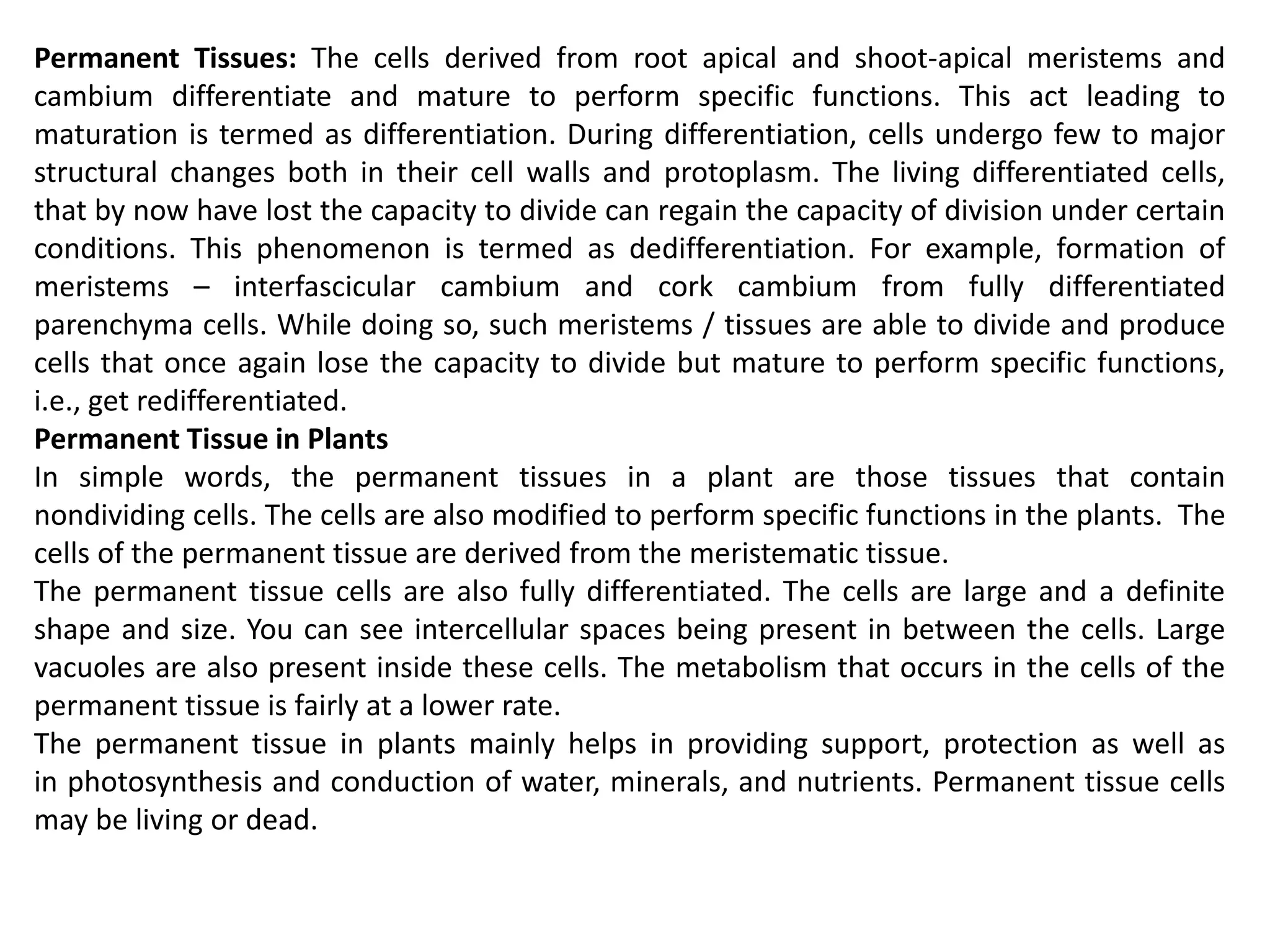 Permanent Tissues of Plants | PPTX