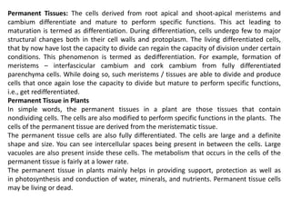 Permanent Tissues of Plants | PPTX