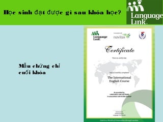 Schools Link Presentation (Primary) - Ultimate Version | PPT