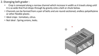 Primary and minimal processing of fruits and vegetables | PPTX