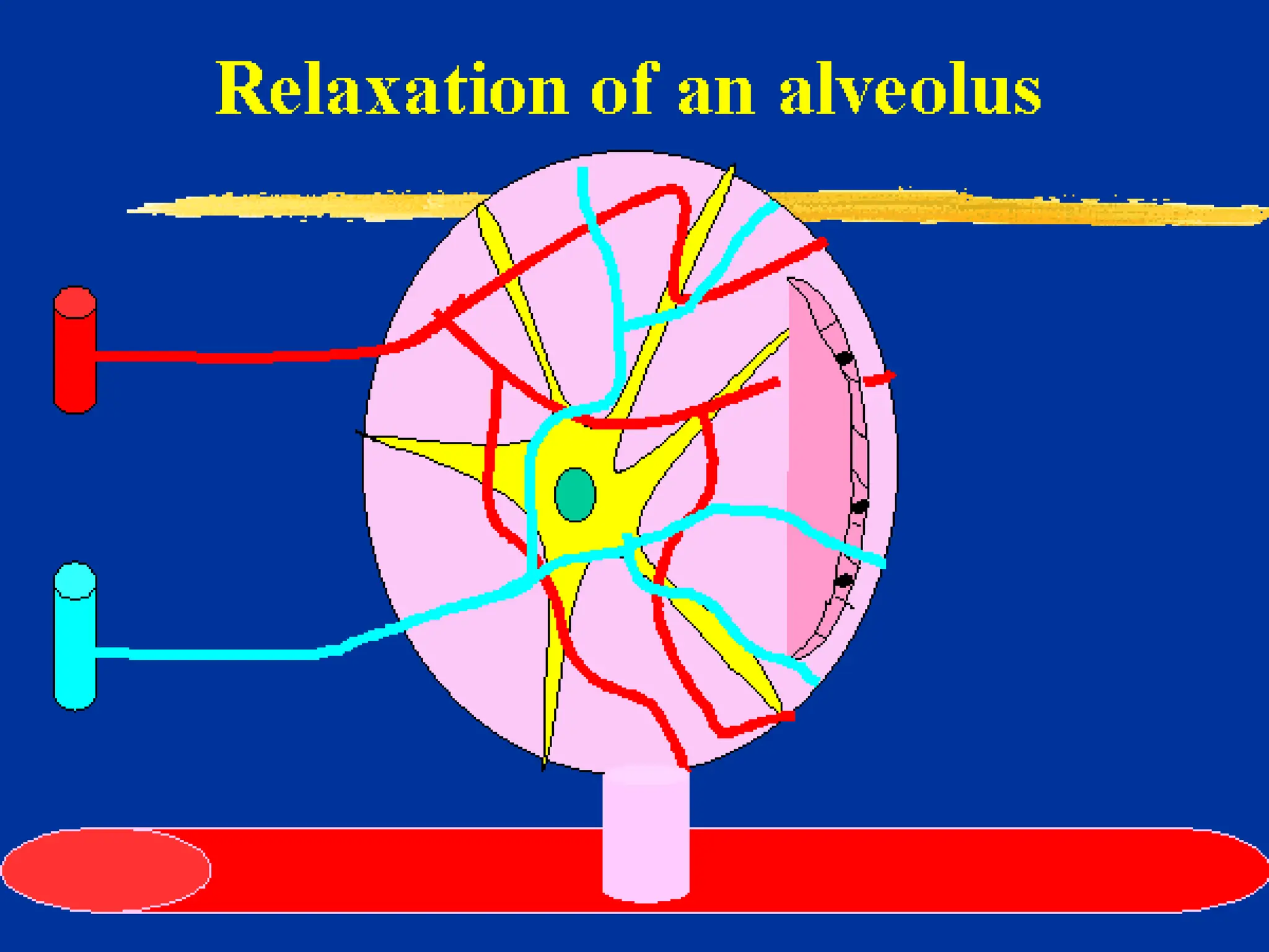 Primary Production and Biosynthesis of mik.pdf