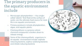 Primary production in aquaculture | PPTX