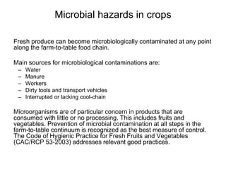 Food Hygiene Issues in Primary Production | PDF | Agriculture | Industries