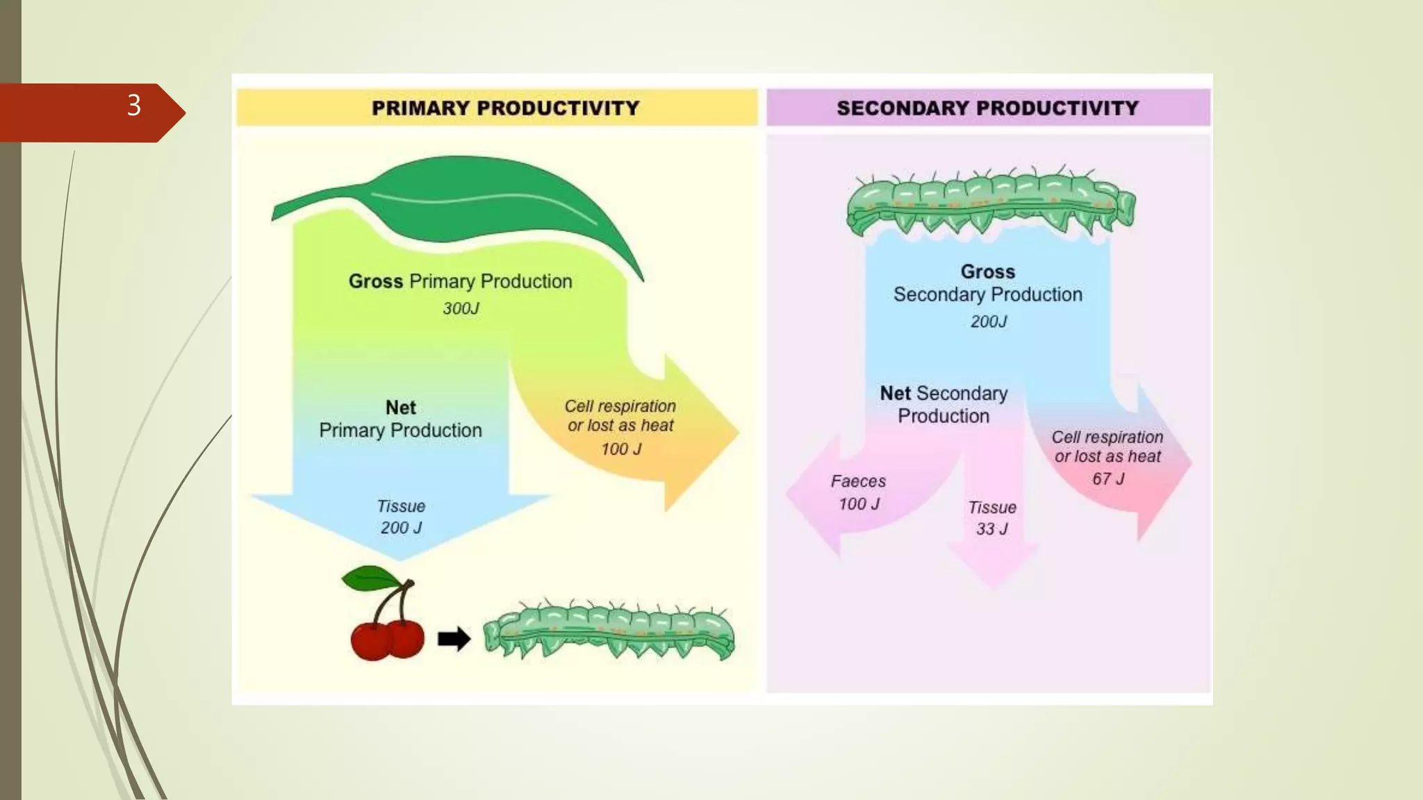 Primary productivity and climatic factors affecting rate of plant ...