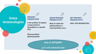 Primary productivity estimation | PPTX