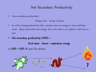 Primary productivity files | PDF