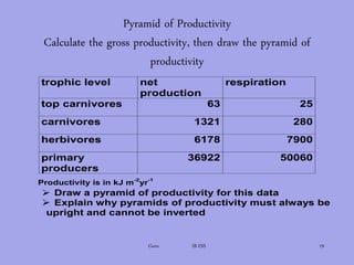 Primary productivity files | PDF
