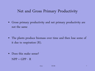 Primary productivity files | PDF
