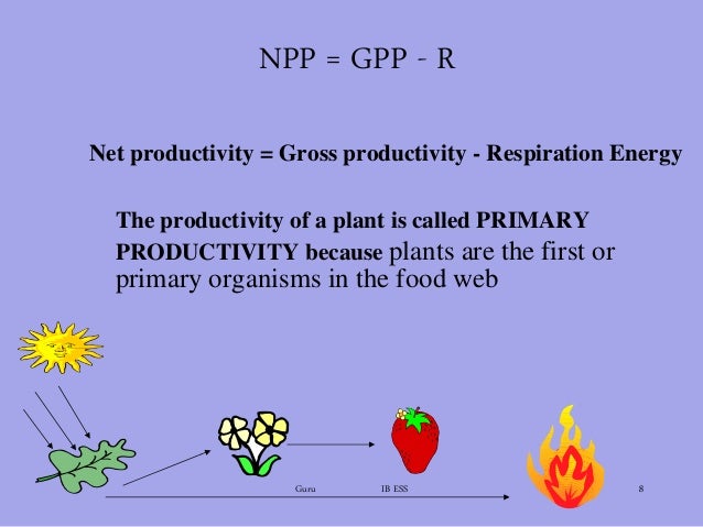 Primary productivity files