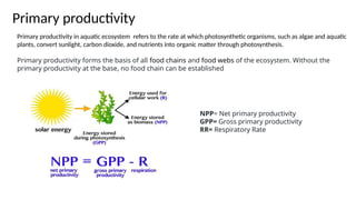 Primary productivity in pirmali pond.pptx