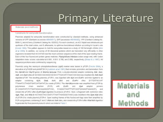 Primary Research | PPT