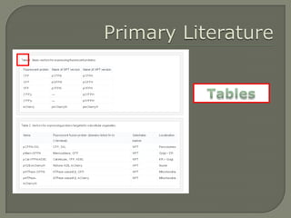 Primary Research | PPT