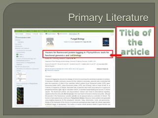 Primary Research | PPT