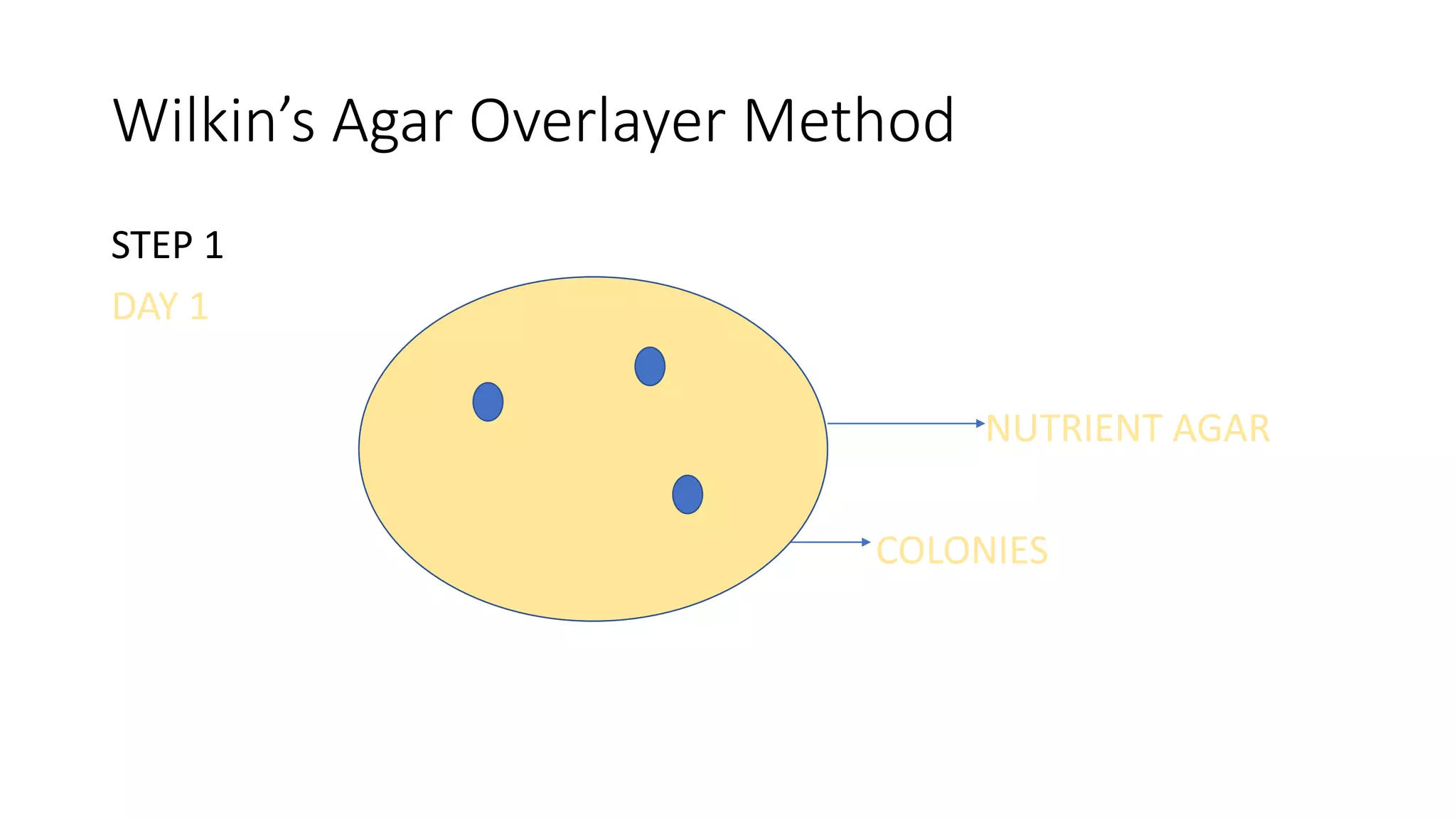 Primary screening | PPTX