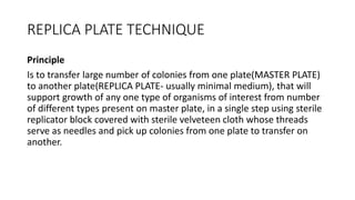 Primary screening | PPTX