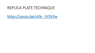 Primary screening | PPTX