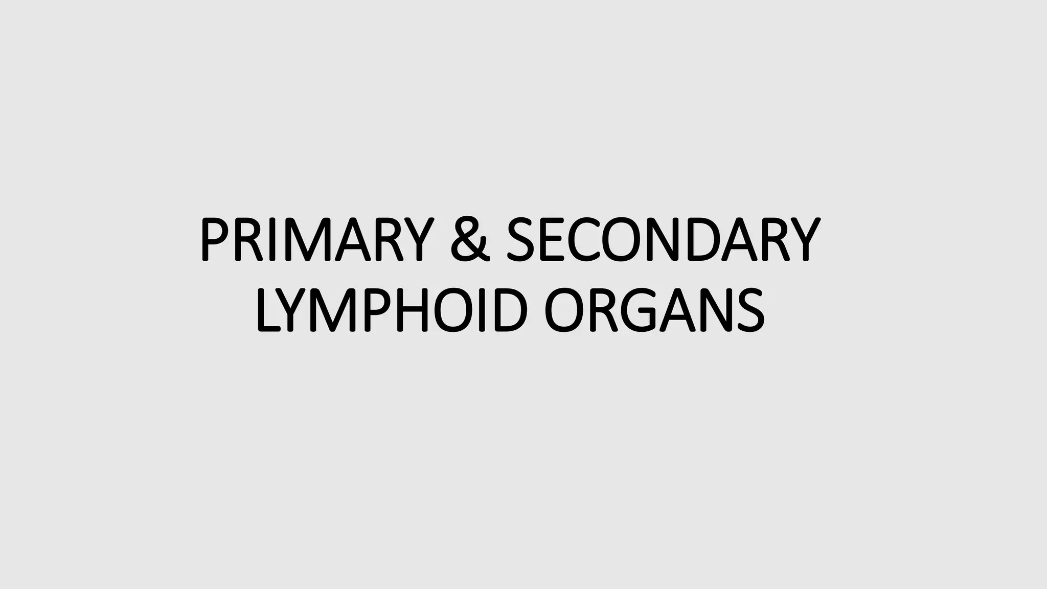 Primary and secondary lymphoid organs | PPTX