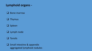Primary and secondary lymphoid organs | PPTX