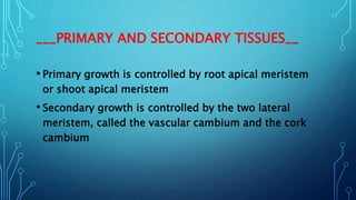 Primary & secondary tissues is in plants (by ikram) | PPTX