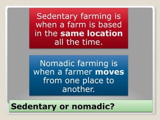 Primary Sector | PPT