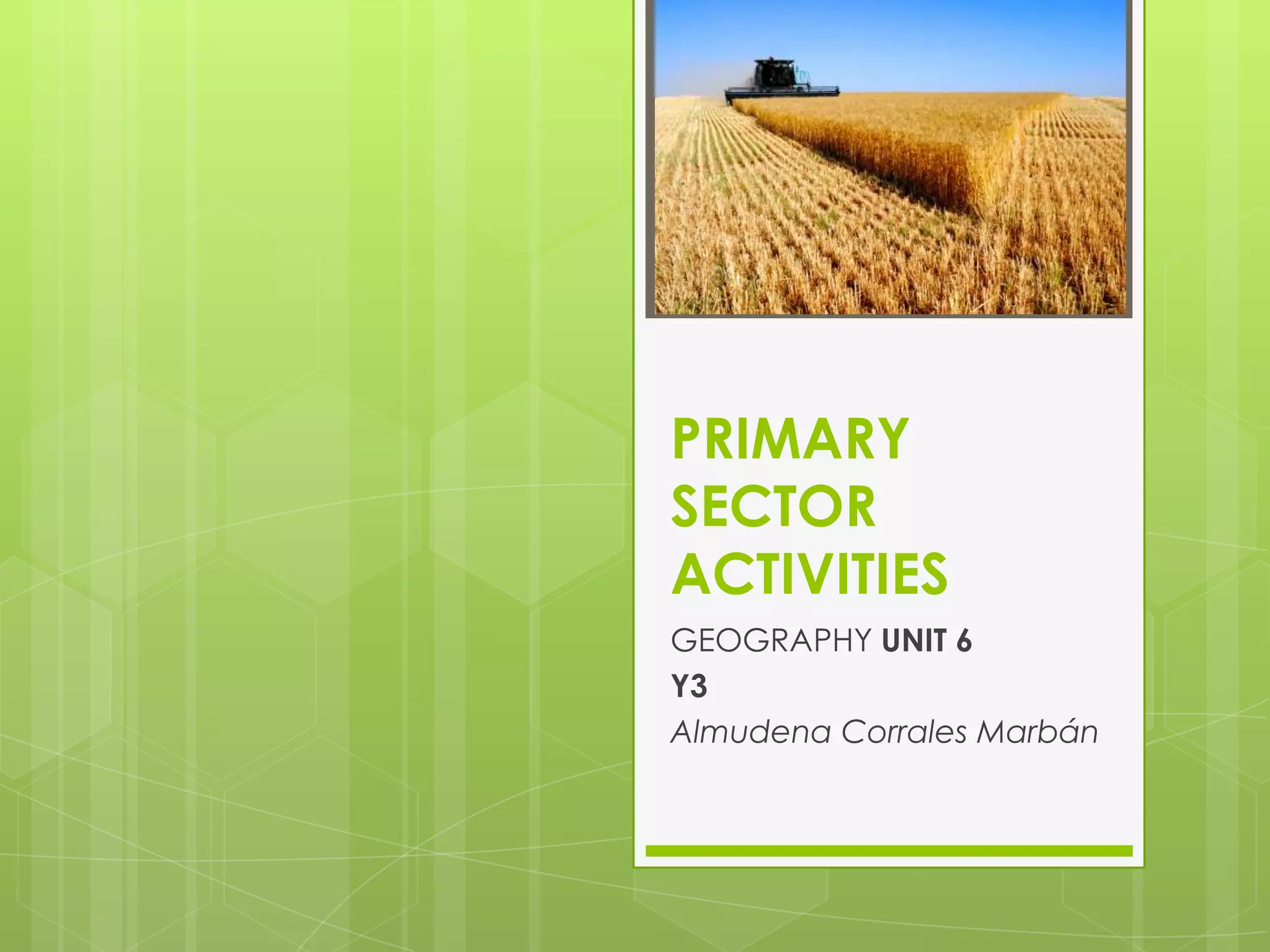 Primary sector | PPTX