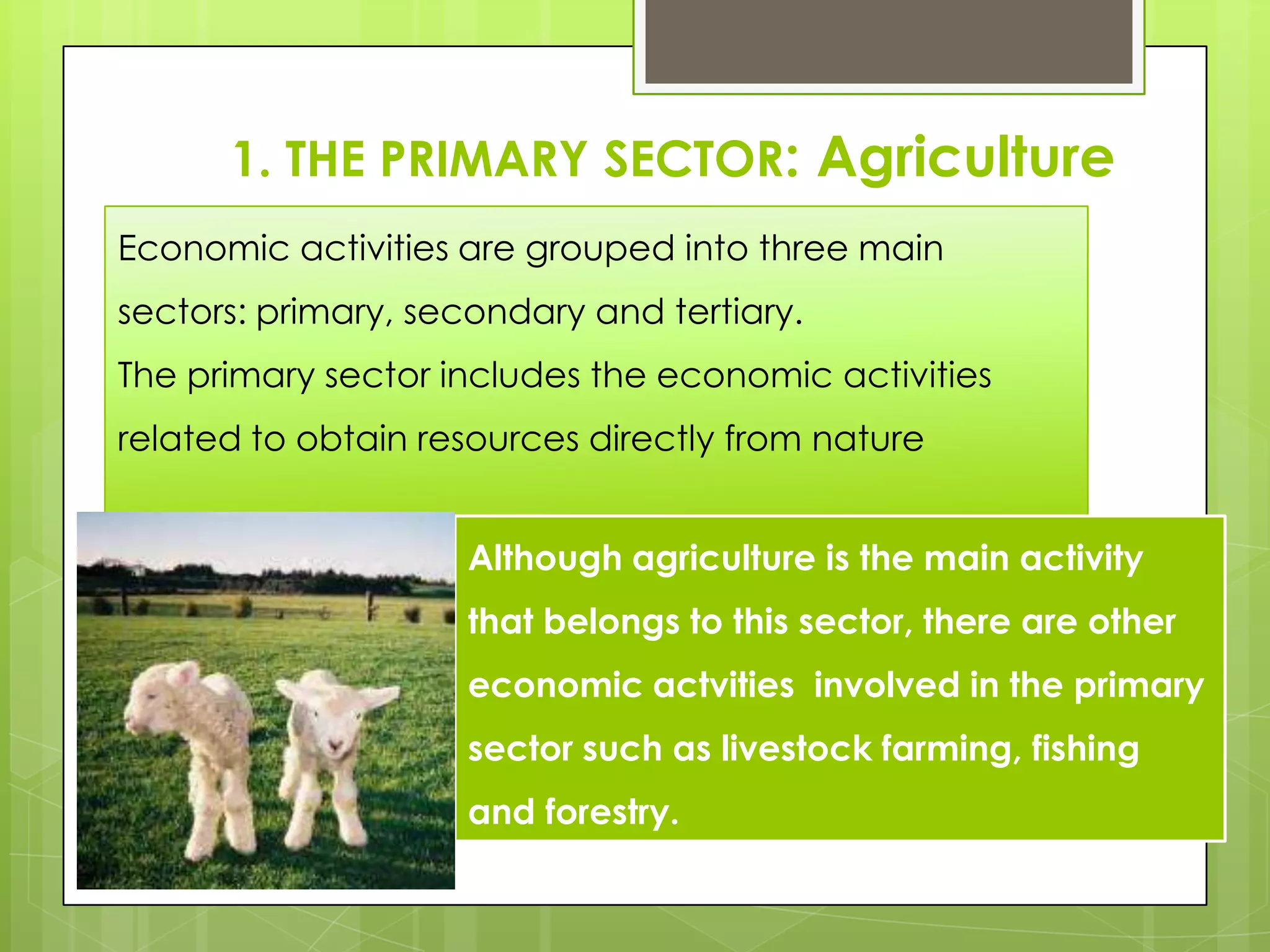 Primary sector | PPTX