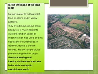 Primary sector | PPTX