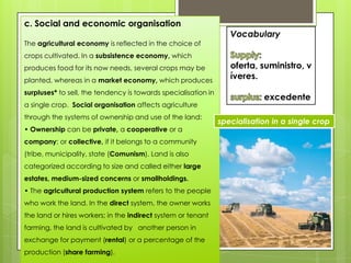 Primary sector | PPTX