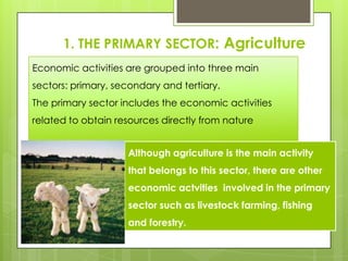Primary sector | PPTX