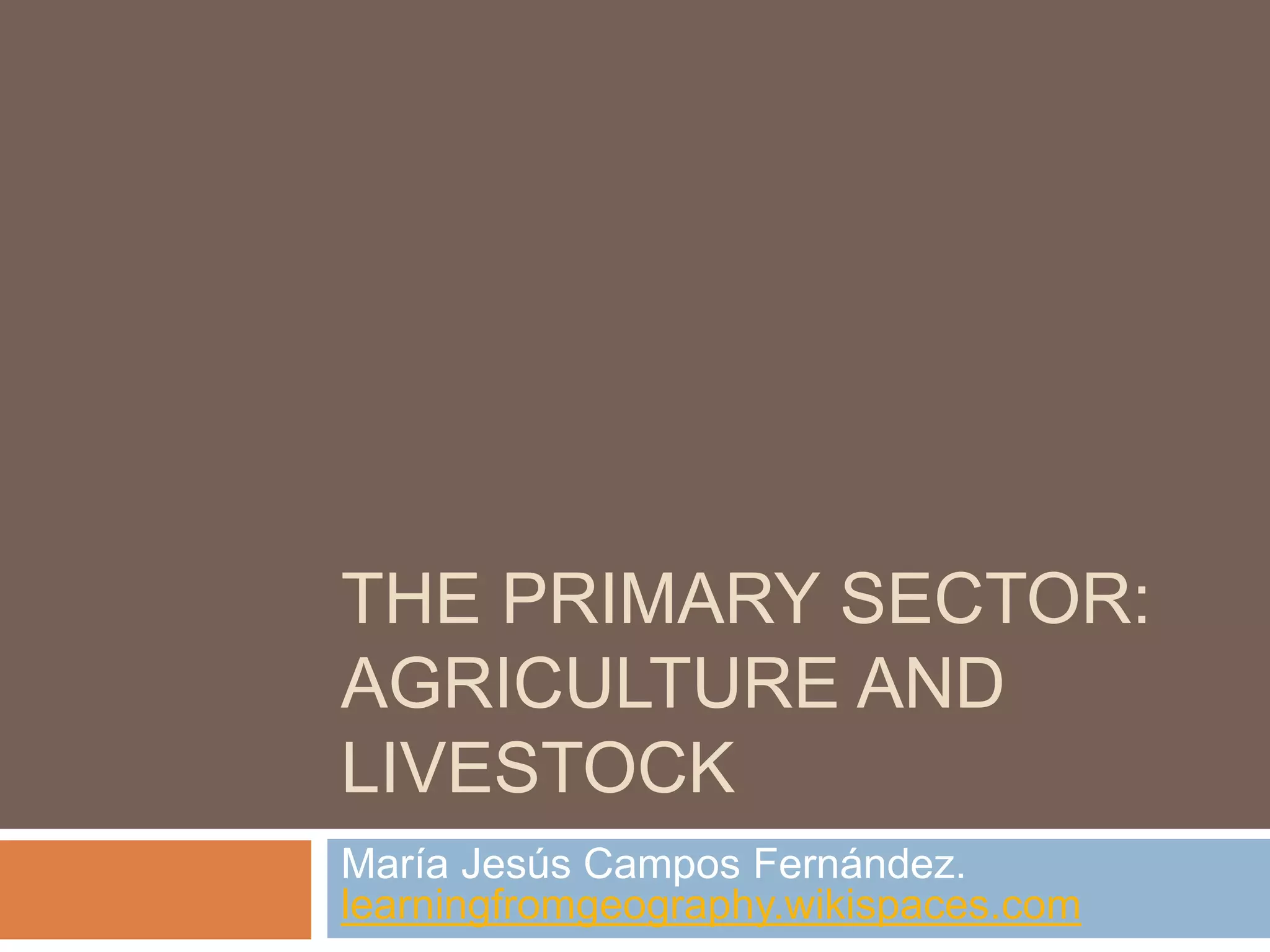 Primary sector: Agriculture and Livestock | PPTX