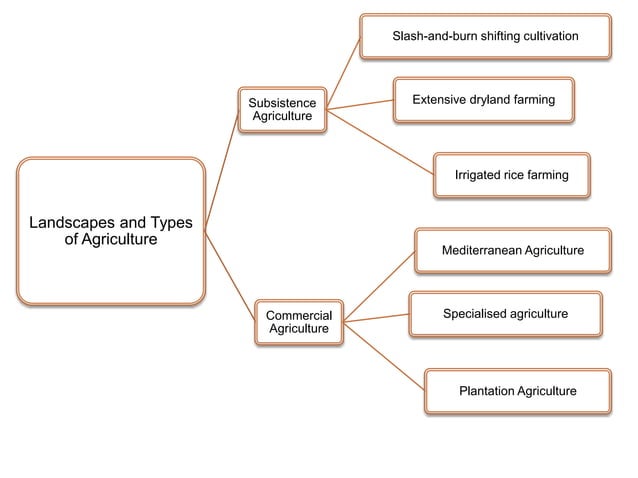 Primary sector: Agriculture and Livestock | PPTX