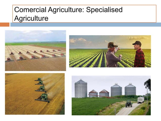 Primary sector: Agriculture and Livestock | PPTX