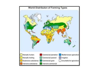 Primary sector: Agriculture and Livestock | PPTX
