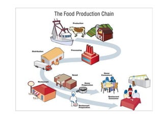 Primary sector: Agriculture and Livestock | PPTX