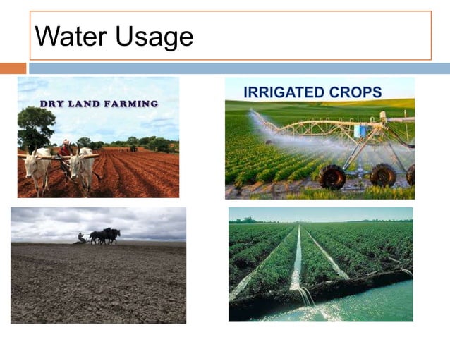 Primary sector: Agriculture and Livestock | PPTX