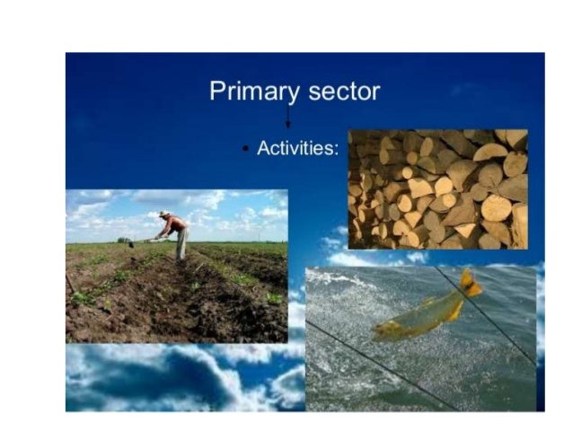 Primary sector: Agriculture and Livestock