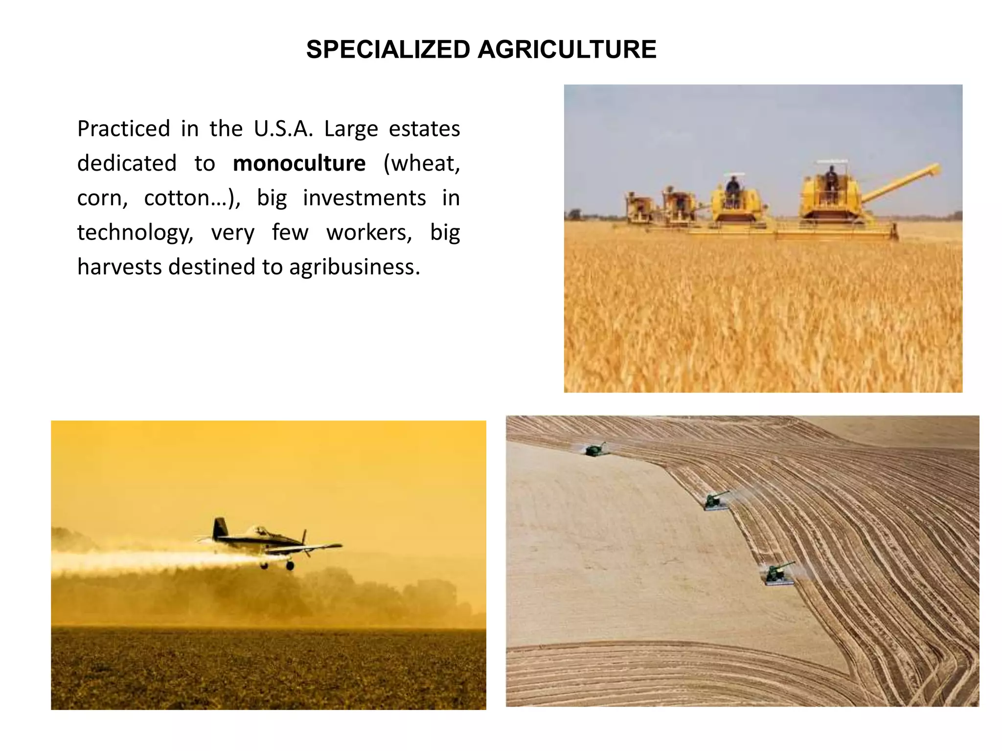 Primary sector | PPTX