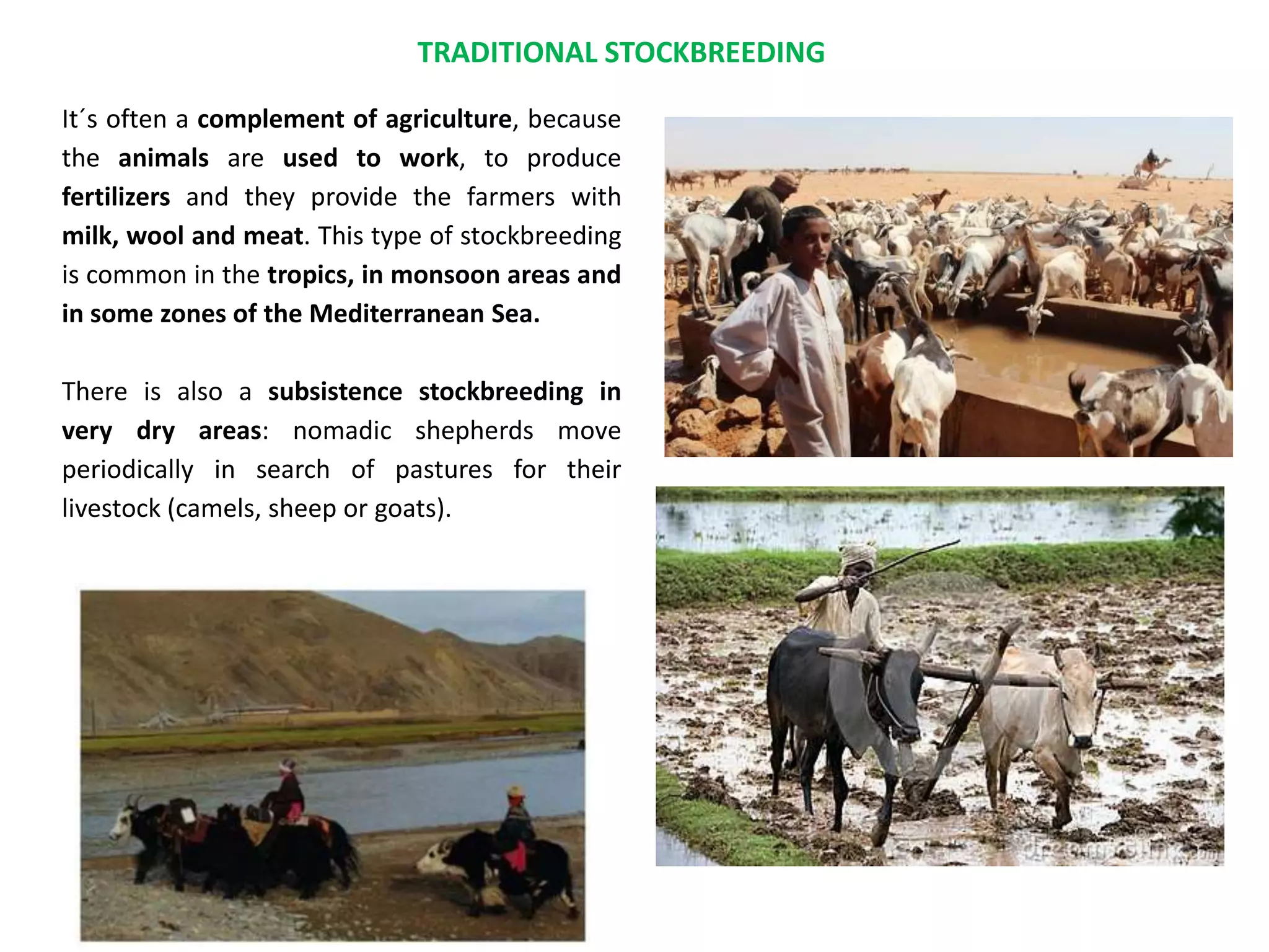 Primary sector | PPTX