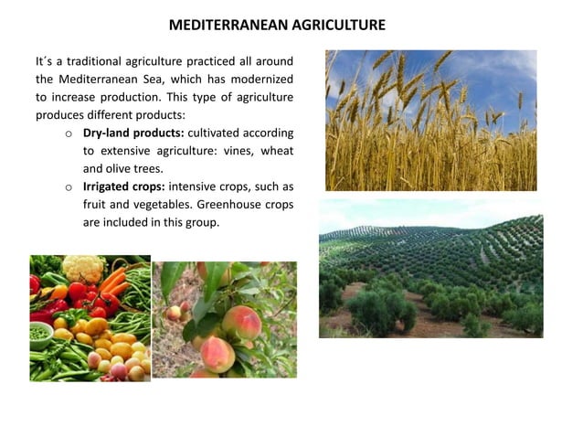 Primary sector | PPTX | Agriculture | Industries