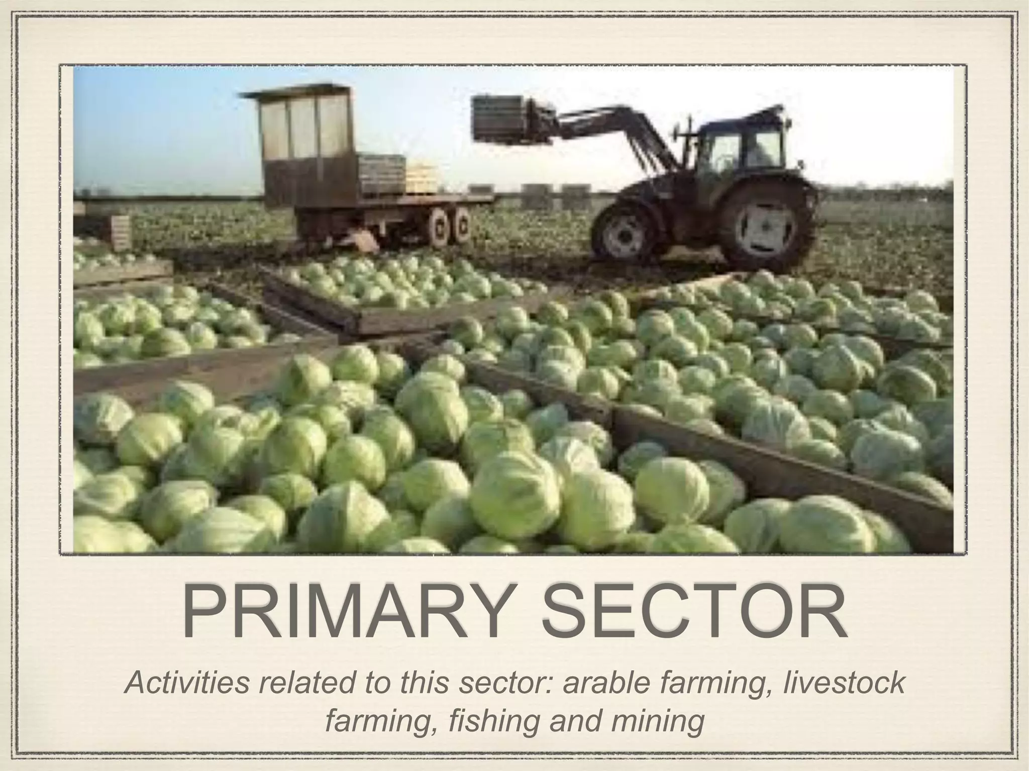 Primary, Secondary and tertiary sector | PPTX