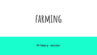 Primary sector farming | PPT
