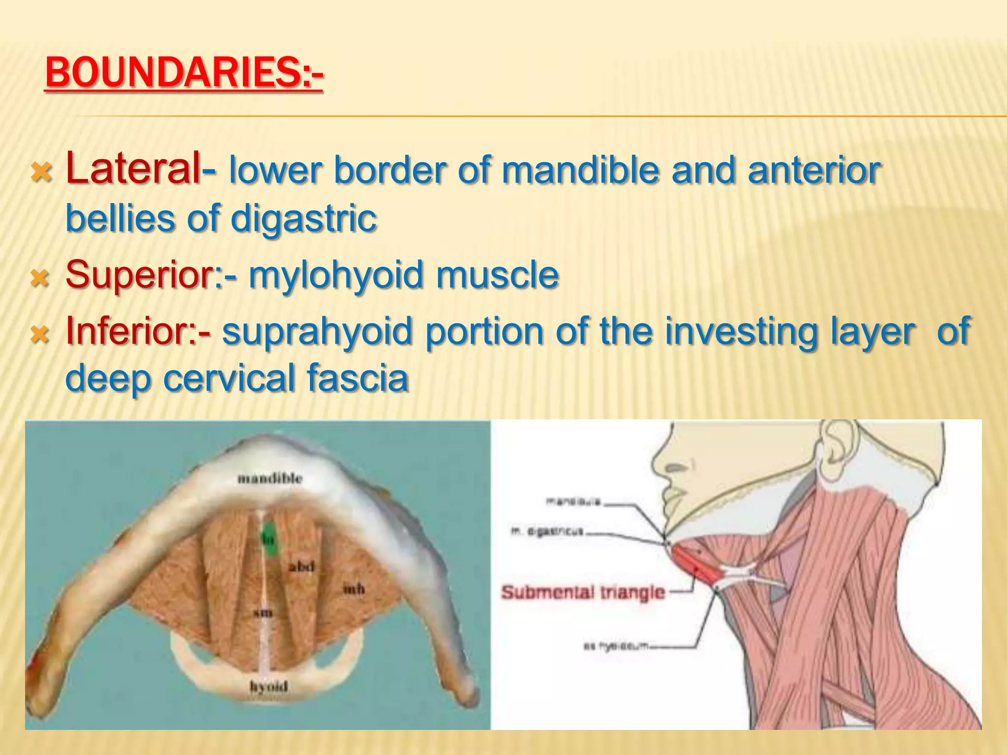 Primary spaces of space infection | PPTX